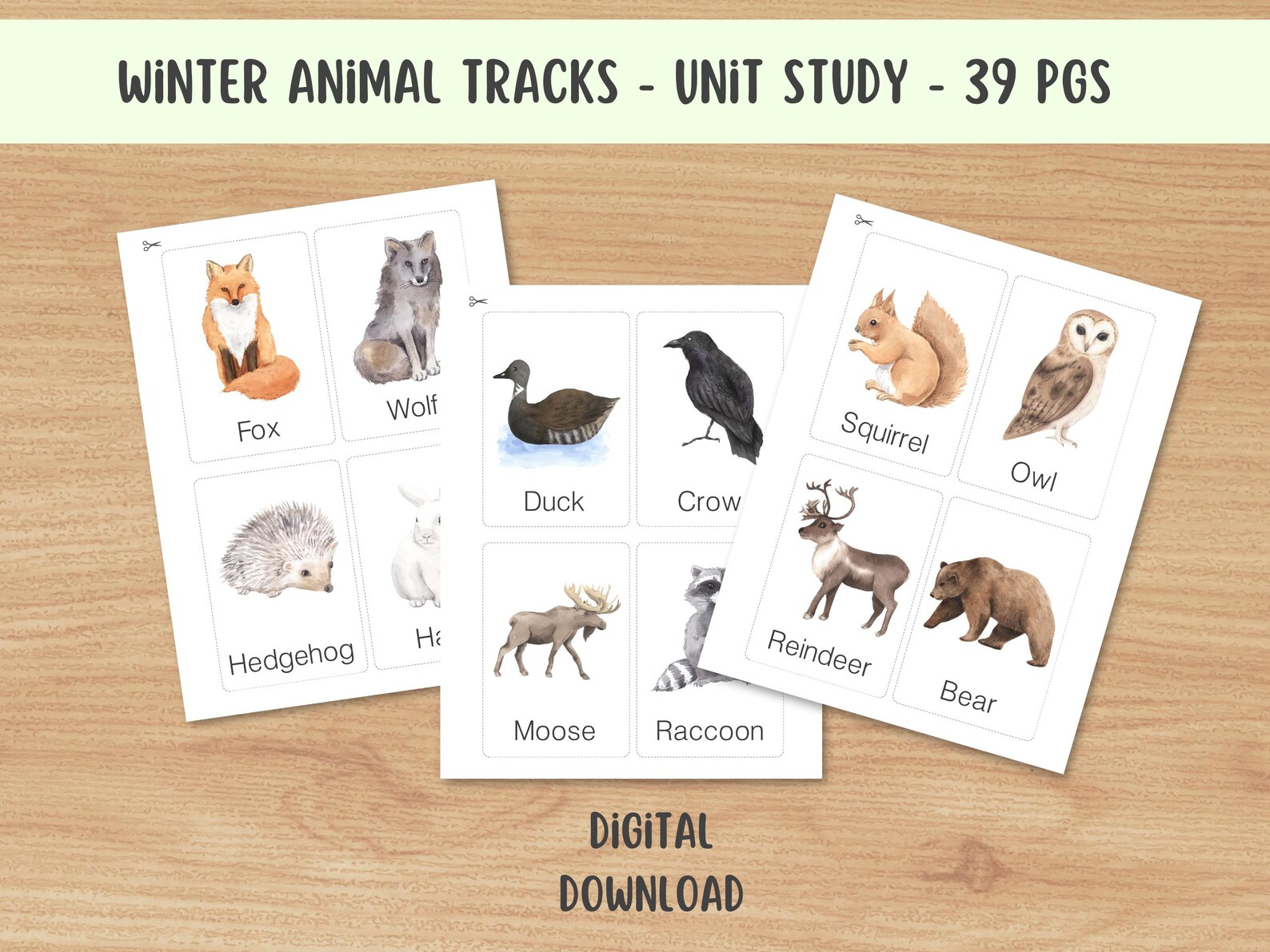 Winter Animal Tracks, Footprint Matching Game, Nature Study Worksheets ...