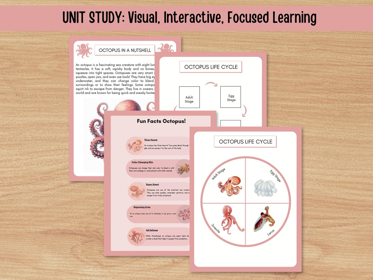 Octopus Life Cycle Printable, Ocean Animal Science Worksheet ...