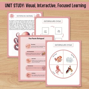 Octopus Life Cycle Printable, Ocean Animal Science Worksheet ...