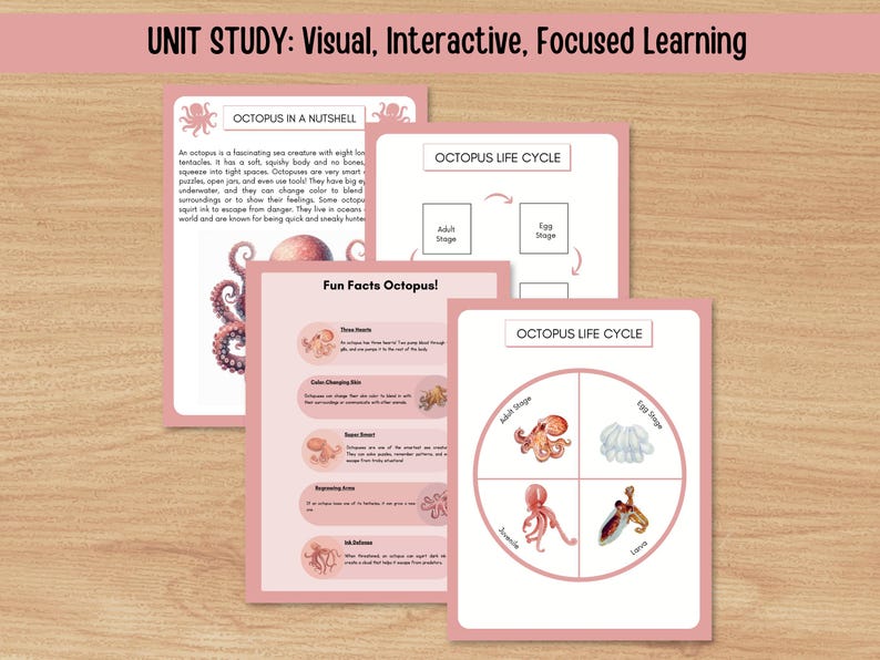 Octopus Life Cycle Printable, Ocean Animal Science Worksheet ...