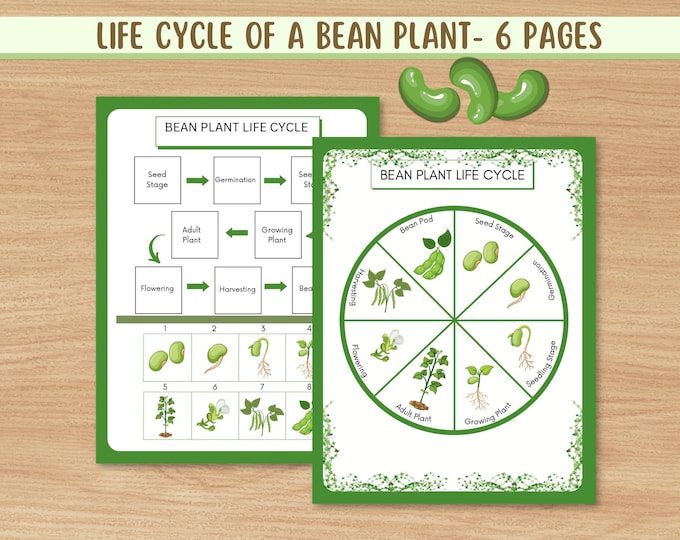 Life Cycle of a Plant, Homeschool Science Unit Activity, Sequencing ...