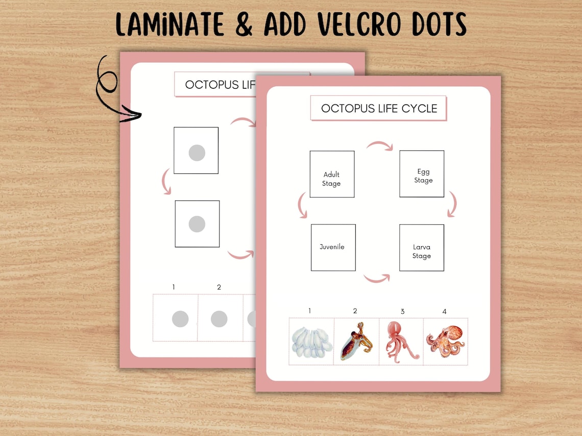 Octopus Life Cycle Printable, Ocean Animal Science Worksheet ...