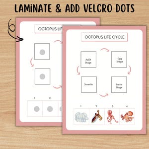 Octopus Life Cycle Printable, Ocean Animal Science Worksheet ...