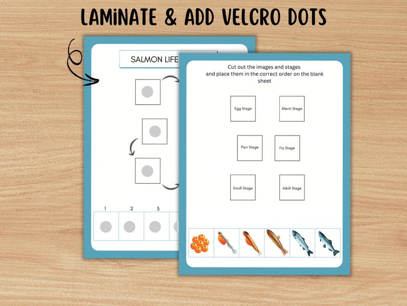 Salmon Life Cycle Printable, Ocean Animal Science Worksheet, Fish Life ...