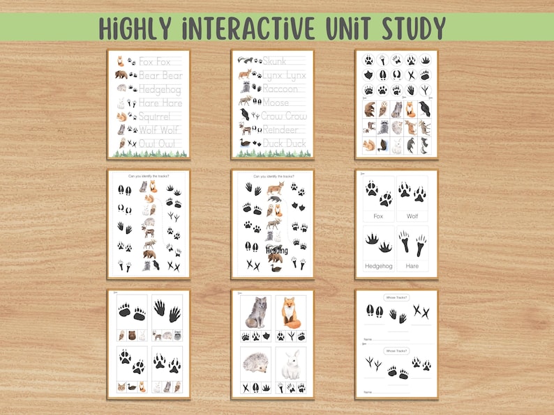 Winter Animal Tracks, Footprint Matching Game, Nature Study Worksheets ...