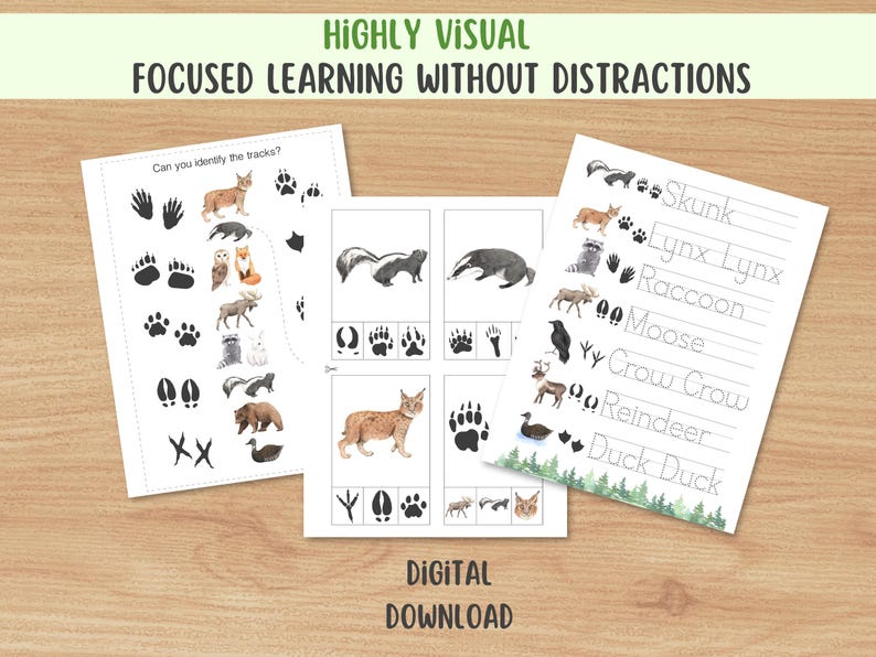 Winter Animal Tracks, Footprint Matching Game, Nature Study Worksheets ...