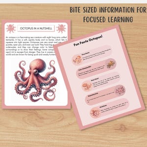 Octopus Life Cycle Printable, Ocean Animal Science Worksheet ...