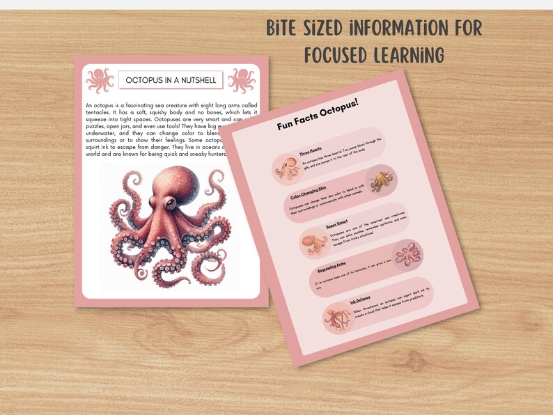 Octopus Life Cycle Printable, Ocean Animal Science Worksheet ...