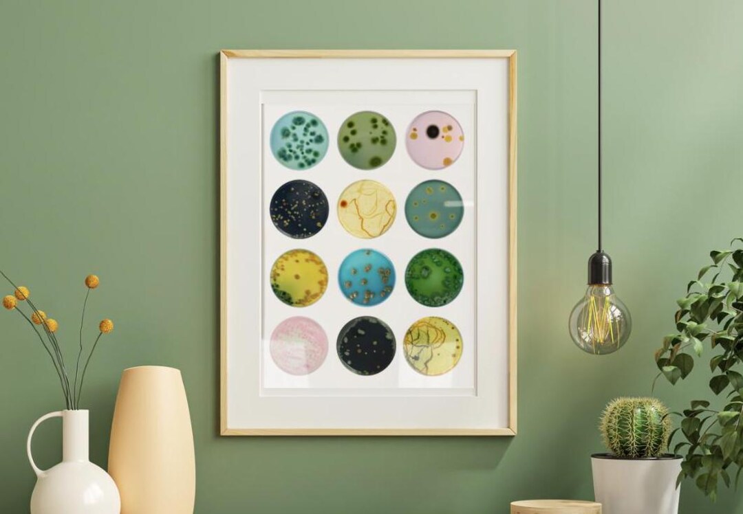 Artsy Petri Dish Poster - Bacteria Colonies | Science-inspired Wall Art ...