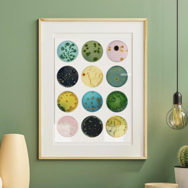 Microbiology Poster - Etsy