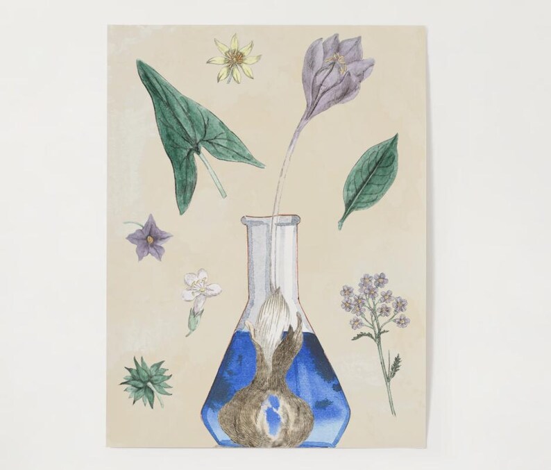 STEM Poster Set - Erlenmeyer Flask With Flowers & Coffee With Caffeine ...