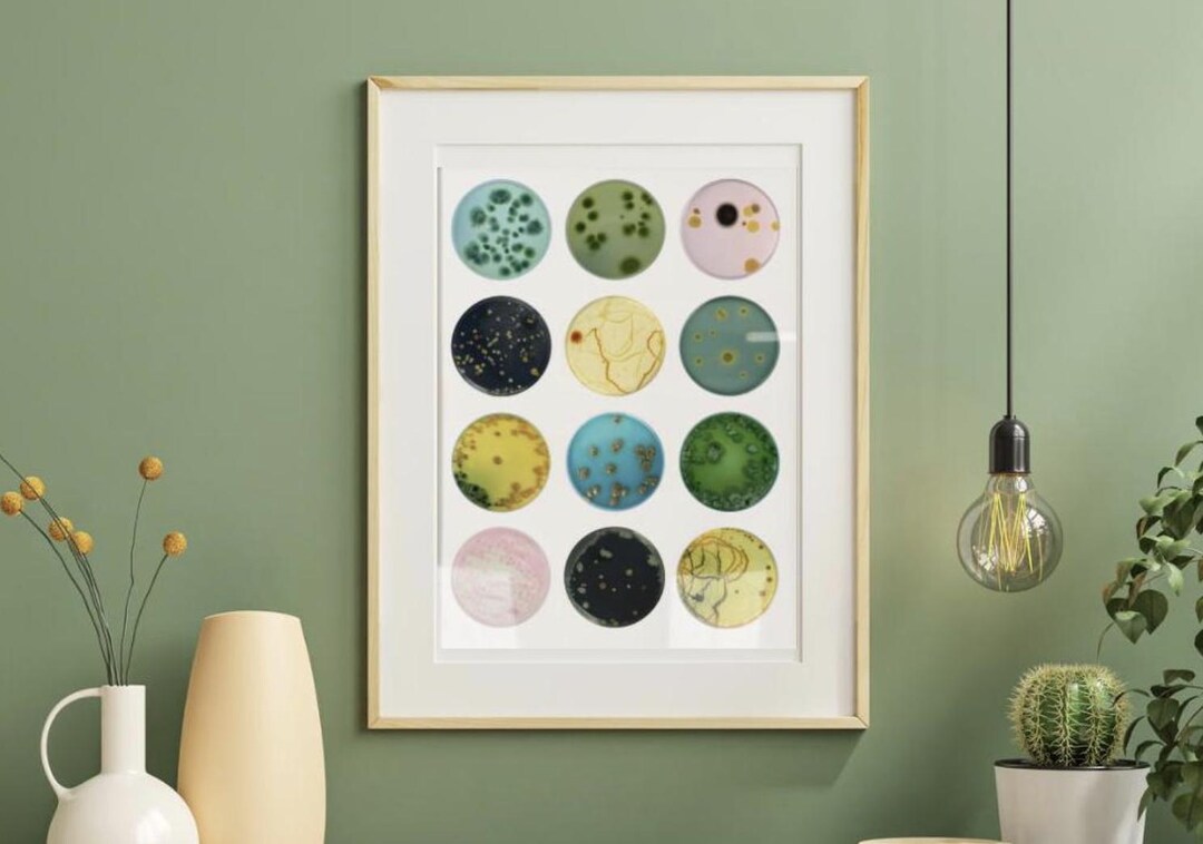 Petri Dish Art Poster – Aesthetic Microbiology Wall Art, Bacteria ...