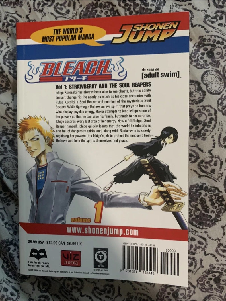 Bleach Manga Vol #1 - Etsy