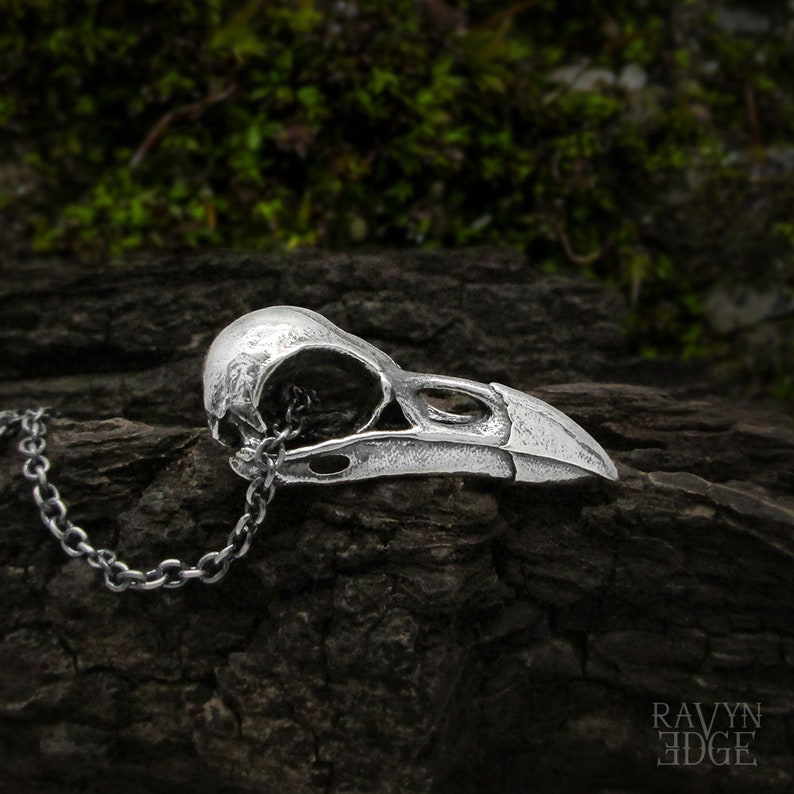 Medium Raven Skull Necklace, 925 Sterling Silver Raven Pendant, Crow ...