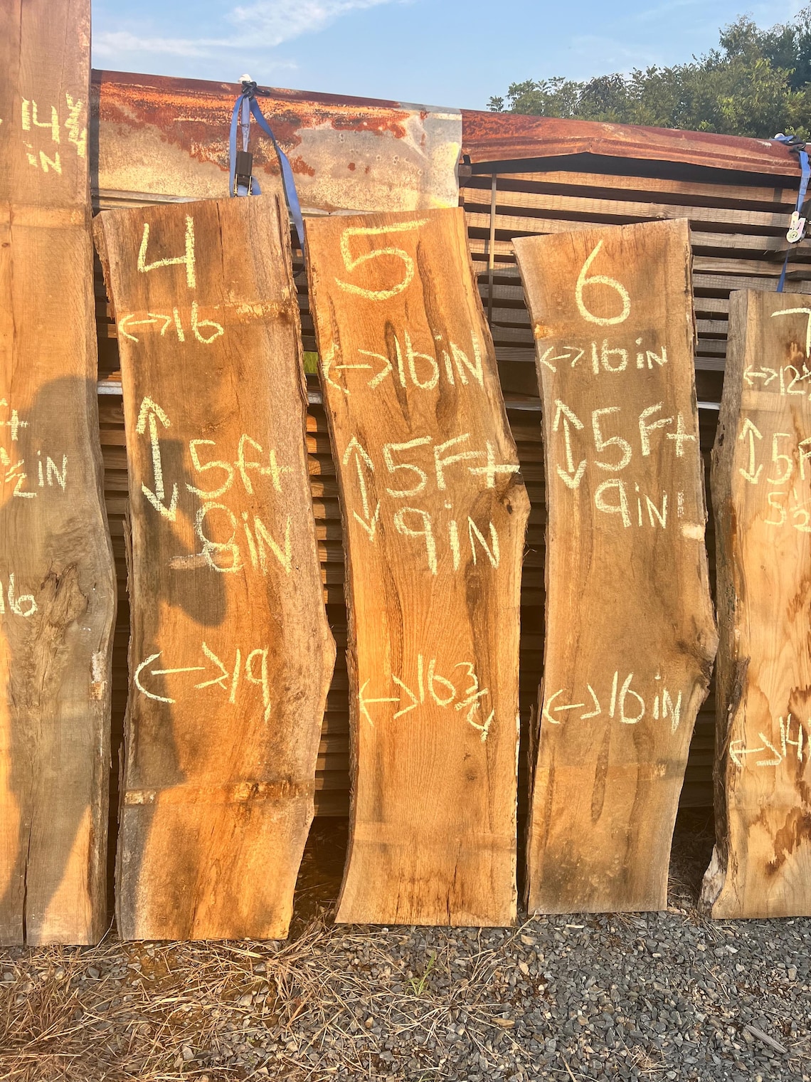 White Oak Live Edge Slabs - Etsy