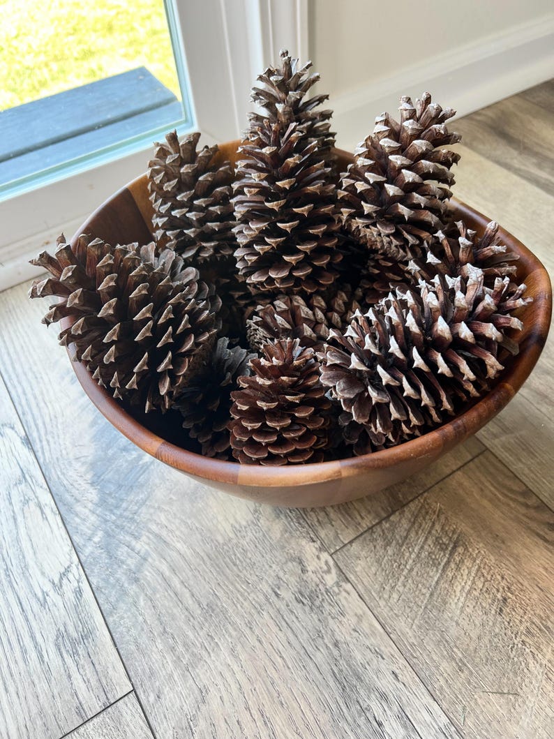Set of 8 Pine Cones - Etsy