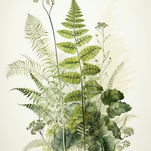 Printable Botanical Ferns Set of 4- Vintage Gallery Plant Wall Art ...
