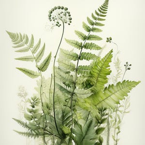 Printable Botanical Ferns Set of 4- Vintage Gallery Plant Wall Art ...