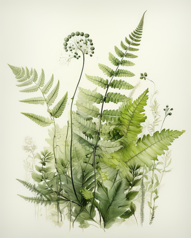 Printable Botanical Ferns Set of 4- Vintage Gallery Plant Wall Art ...