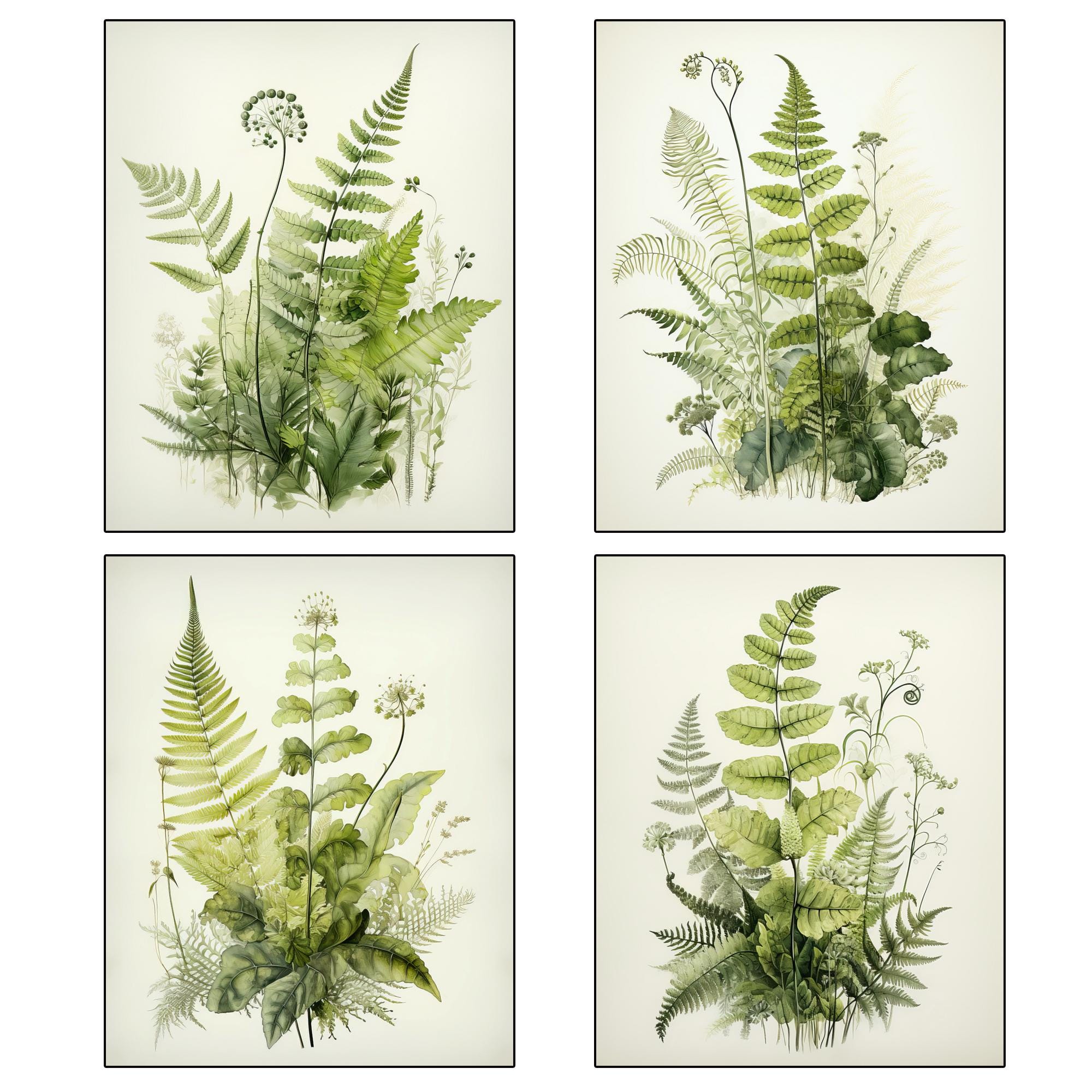 Printable Botanical Ferns Set of 4- Vintage Gallery Plant Wall Art ...