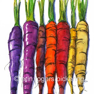 Rainbow Carrots 8x10 Kitchen Art Print - Etsy