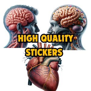 Human Anatomy PNG Stickers Digital Download Medical Study Stickers ...