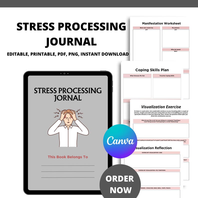 Mindfulness Stress Processing Journal – Mental Wellness Journal for ...