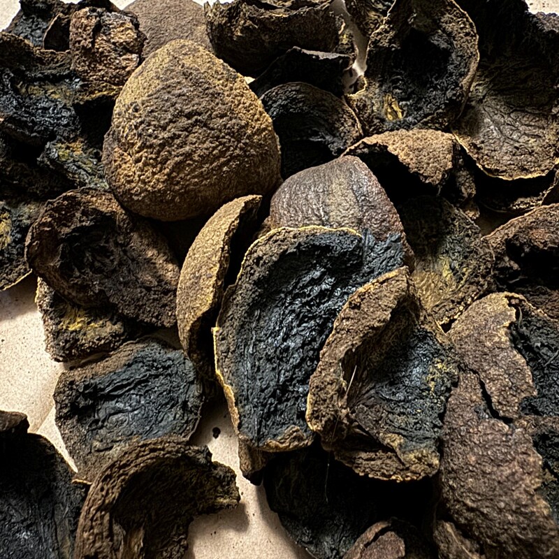 Black Walnut - Etsy