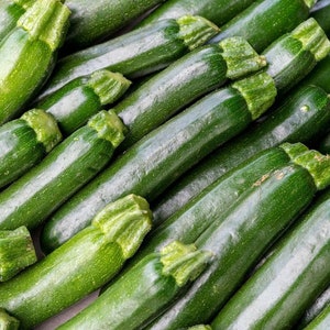 Summer Squash Fordhook Zucchini Seeds for Vegetable Garden 15 Seeds - Etsy