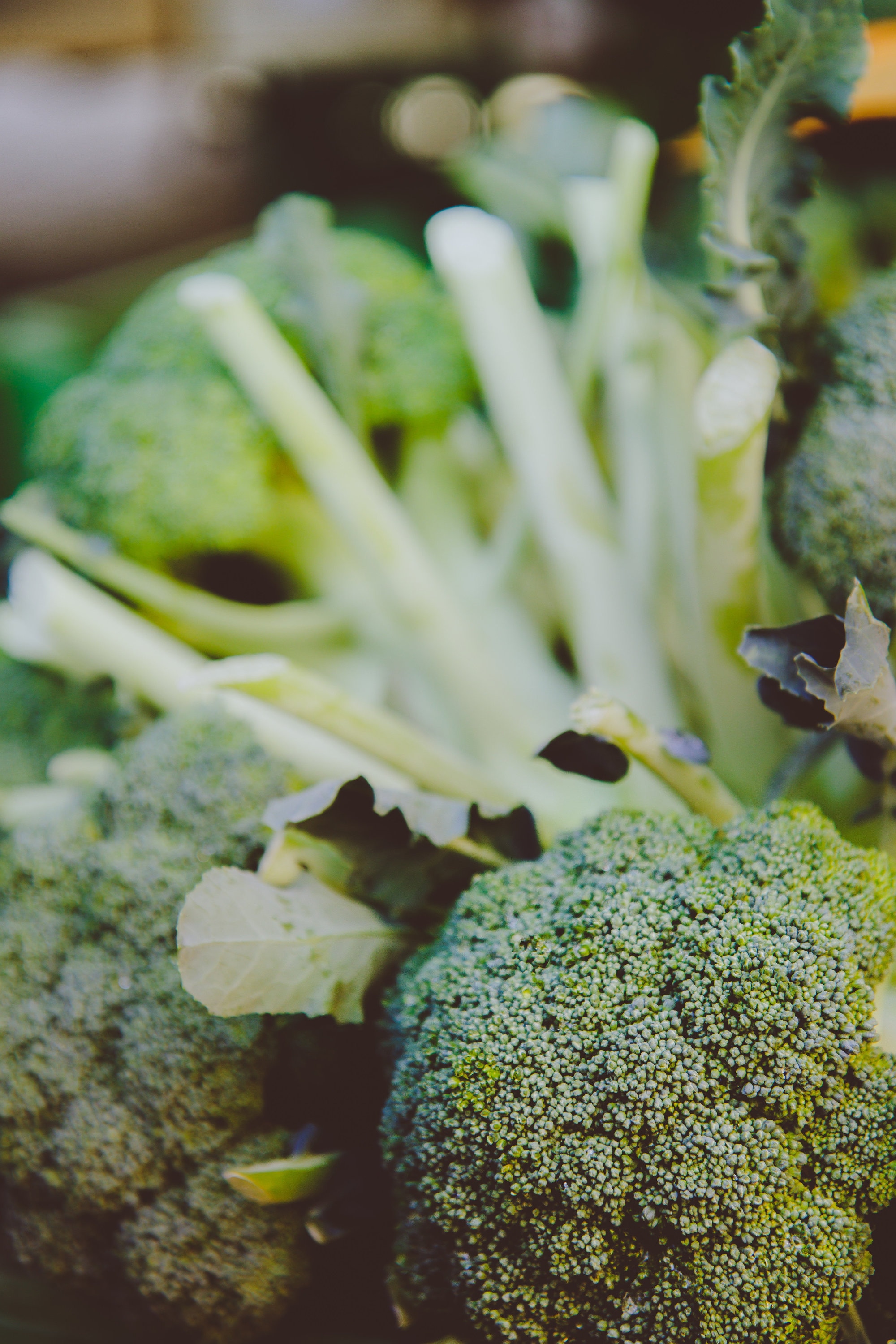 Broccoli Seeds Broccoli Sun Kind Hybrid Seeds for Vegetable Garden 50 ...