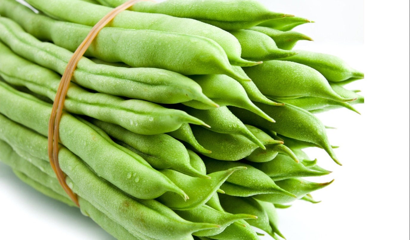 Large Garden Bean Big Kahuna Green Bean Seeds for Vegetable Garden 11 ...