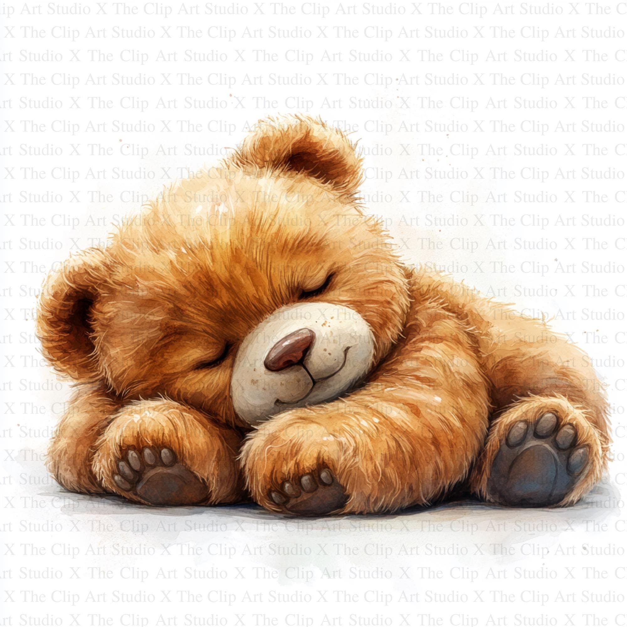 Sleeping Teddy Bears Clipart 10 High Quality Jpgs Digital Download ...