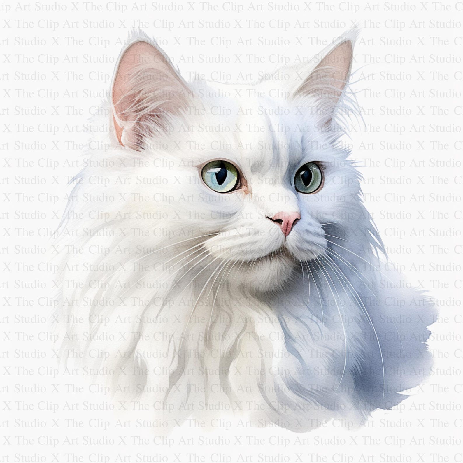 White Cats Clipart | 10 High Quality Jpgs | Digital Download | Nursery ...