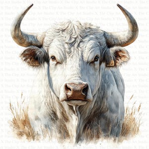 Bull Clipart | 10 High Quality Jpgs | Instant Digital Download ...