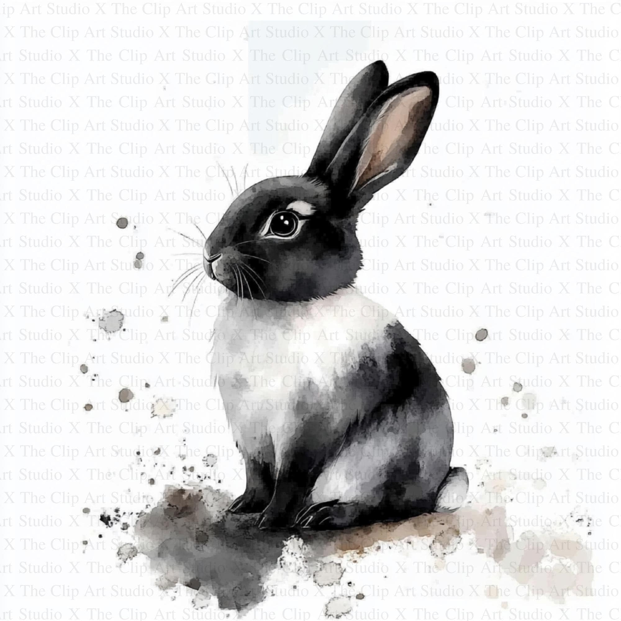 Bunny Black Ink Clipart | 10 High Quality Jpgs | Instant Digital ...