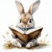Bunny Reading Book Clipart | 10 High Quality Jpgs | Digital Download ...