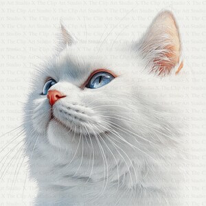 White Cats Clipart | 10 High Quality Jpgs | Digital Download | Nursery ...