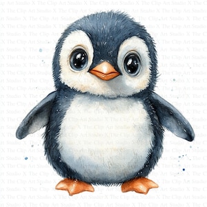 Baby Penguin Clipart | 10 High Quality Jpgs | Digital Download ...
