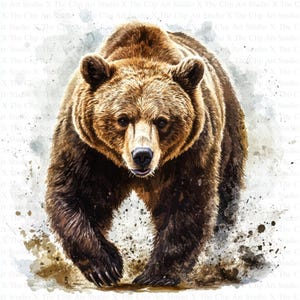 Grizzly Bear Clipart | 10 High Quality Jpgs | Digital Download | Card ...