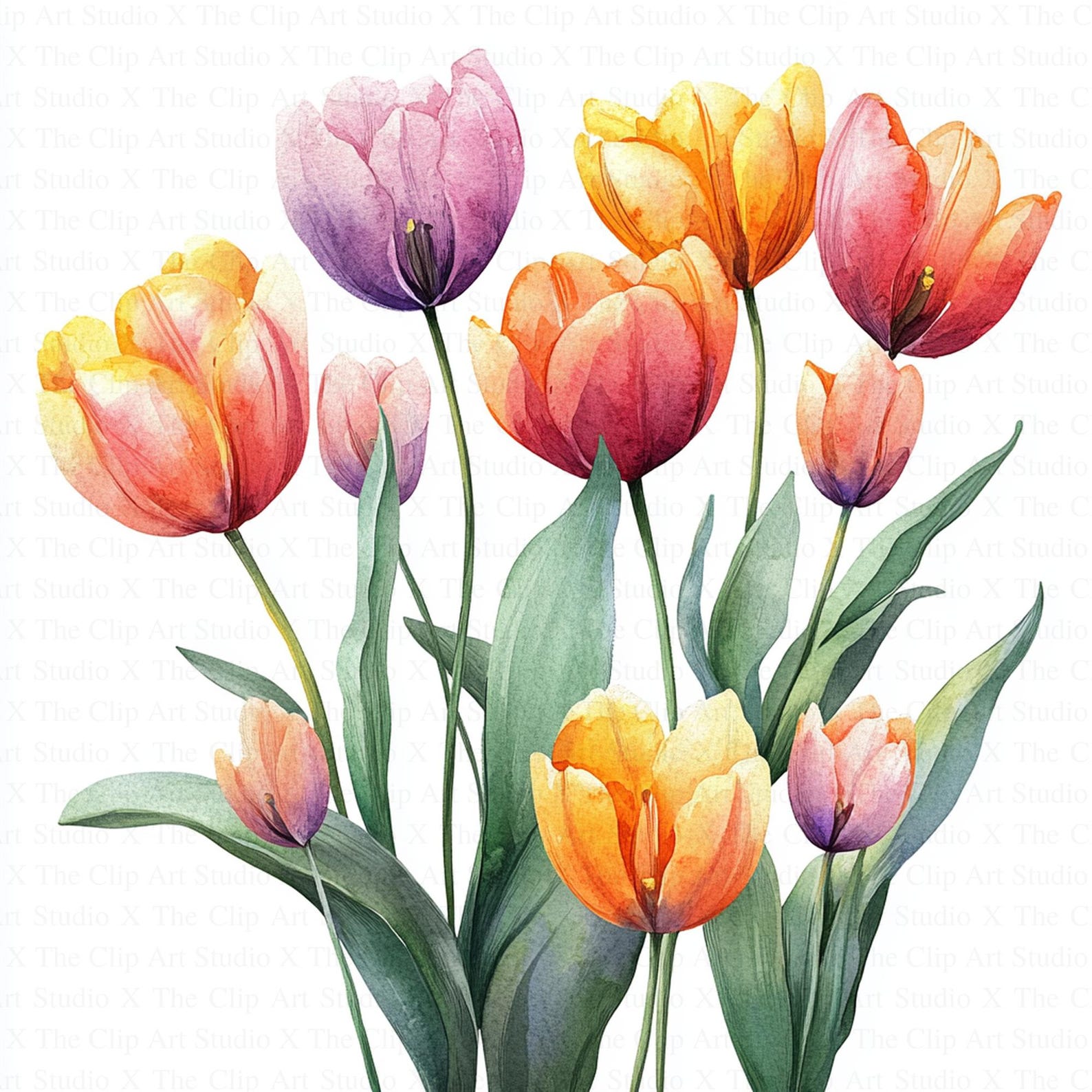 Spring Flowers Clipart | 10 High Quality Pngs | Digital Download ...