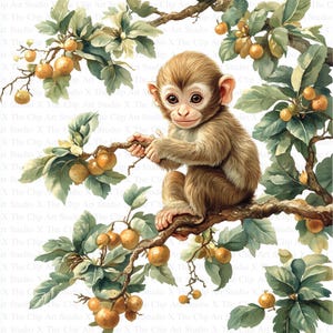 Watercolor Monkey Clipart | 10 High Quality Jpgs | Instant Digital ...