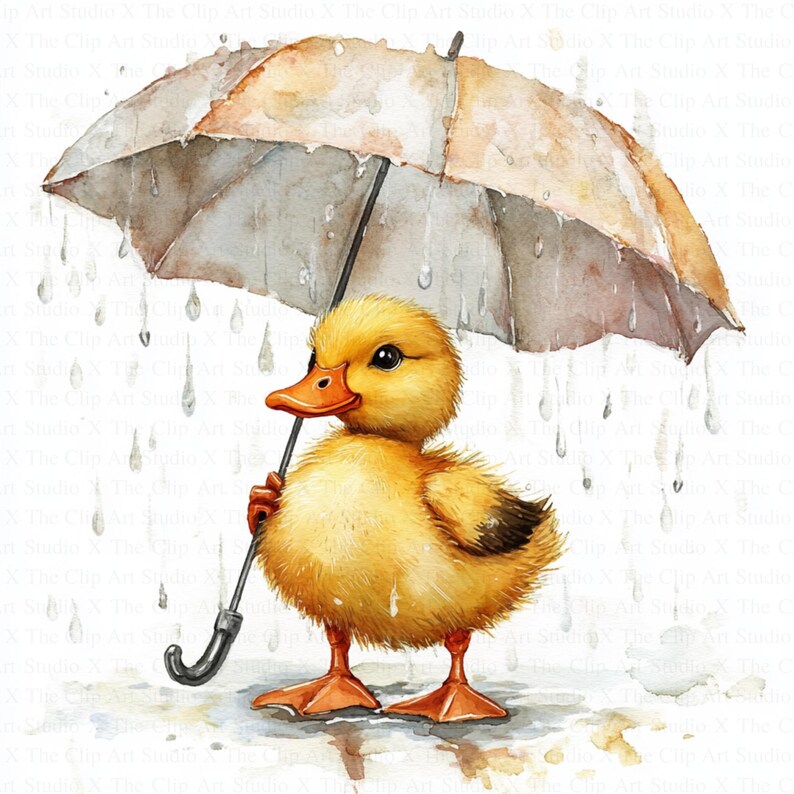 Duckling in Rain Clipart | 10 High Quality Jpgs | Digital Download ...