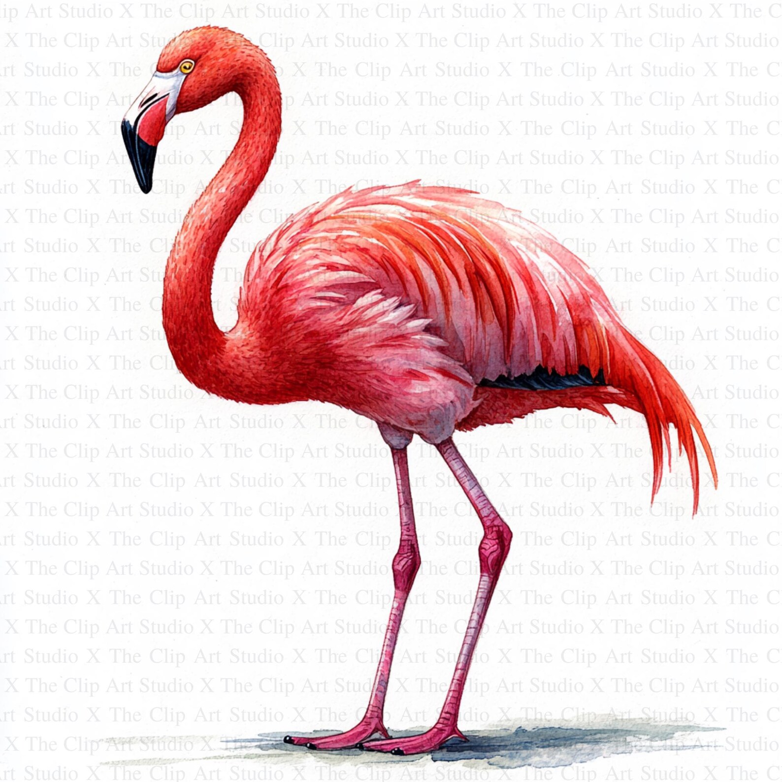 Flamingo Clipart | 10 High Quality Jpgs | Digital Download | Flamingo ...