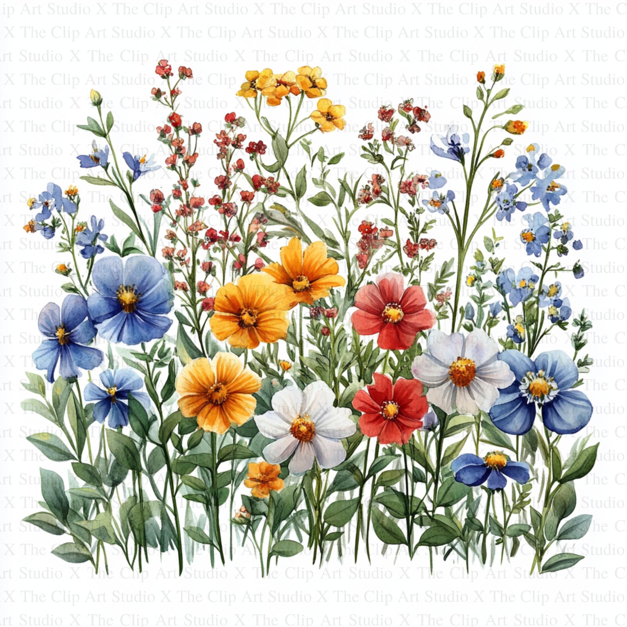 Wildflowers Border Clipart | 10 High Quality Jpgs | Digital Download ...