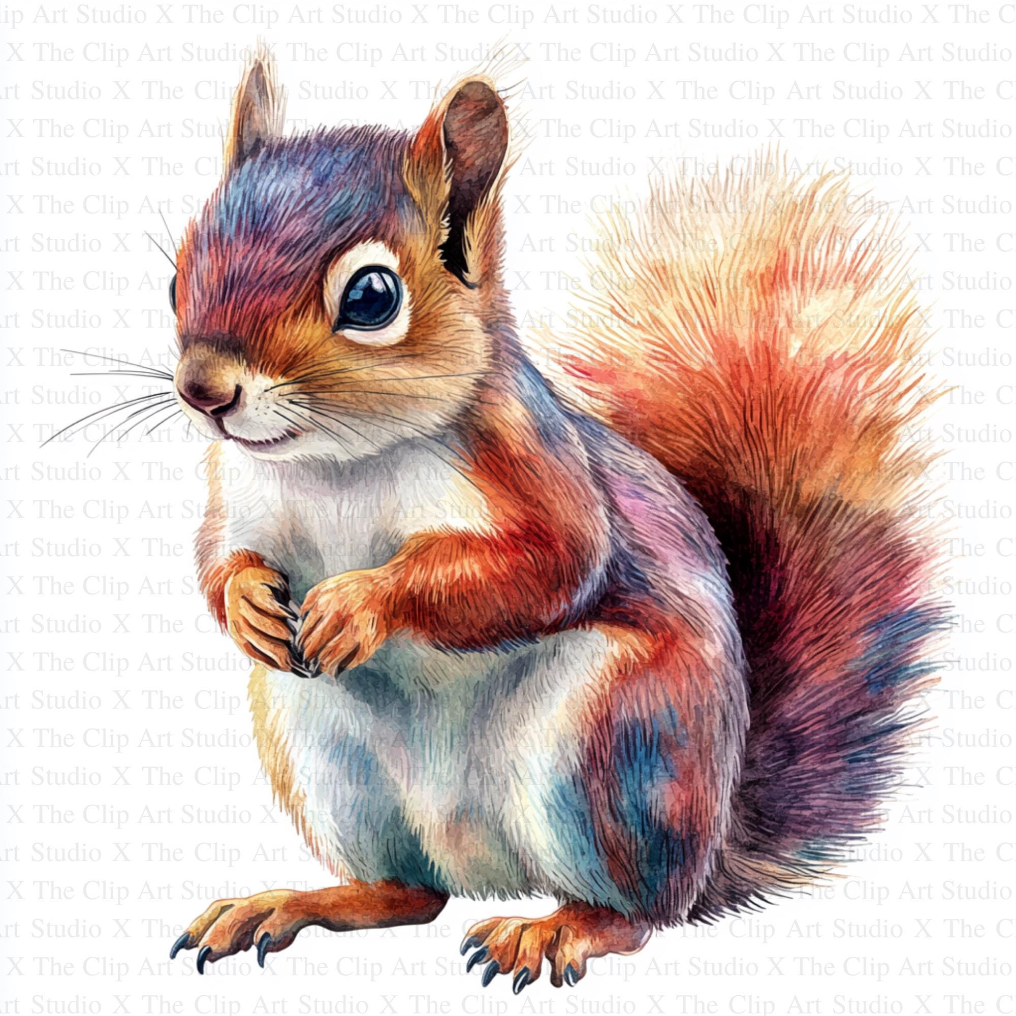 Watercolor Squirrels Clipart | 10 High Quality Jpgs | Digital Download ...