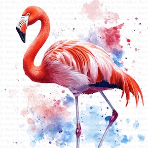 Flamingo Clipart | 10 High Quality Jpgs | Digital Download | Flamingo ...