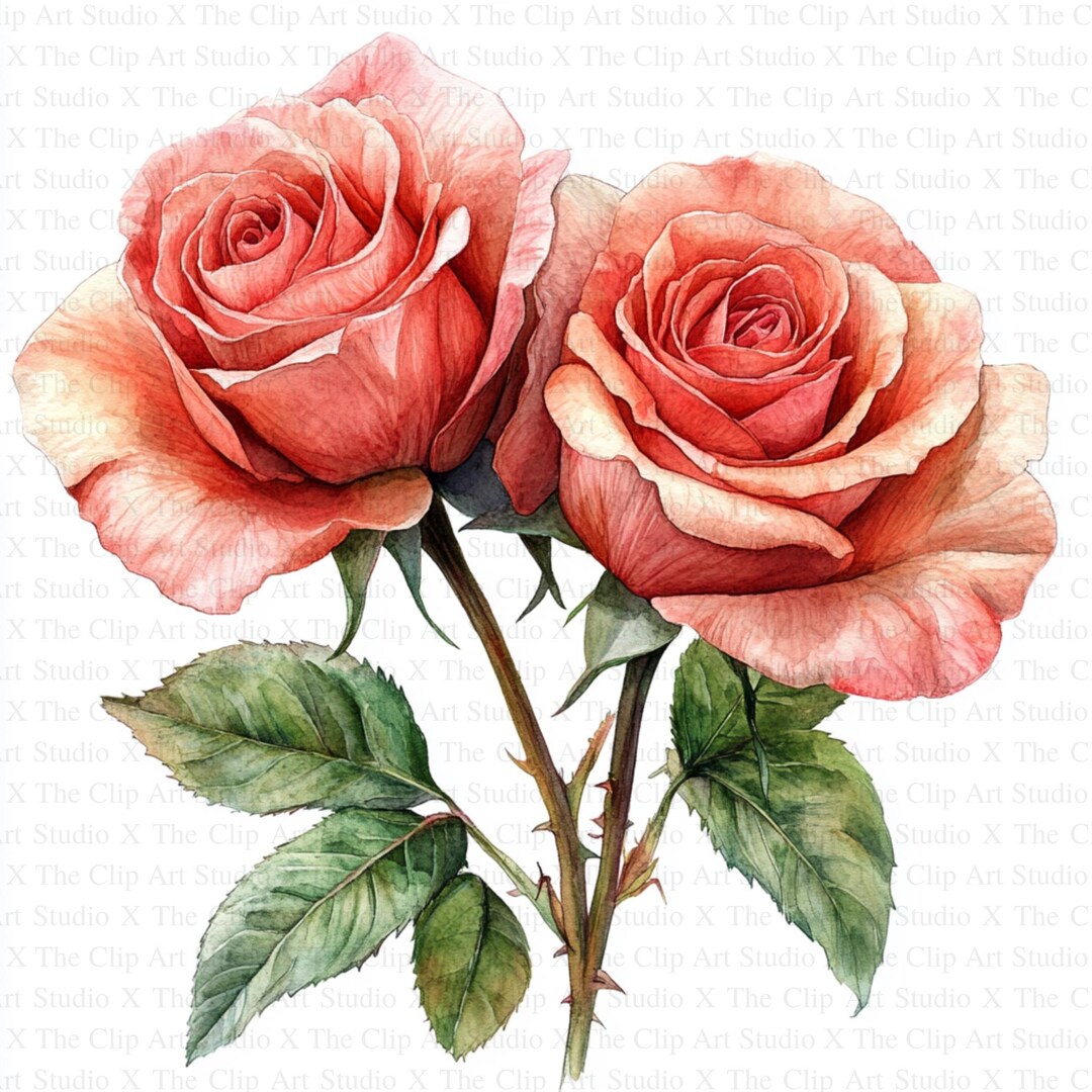 Roses Clipart | 10 High Quality Jpgs | Digital Download | Card Making ...