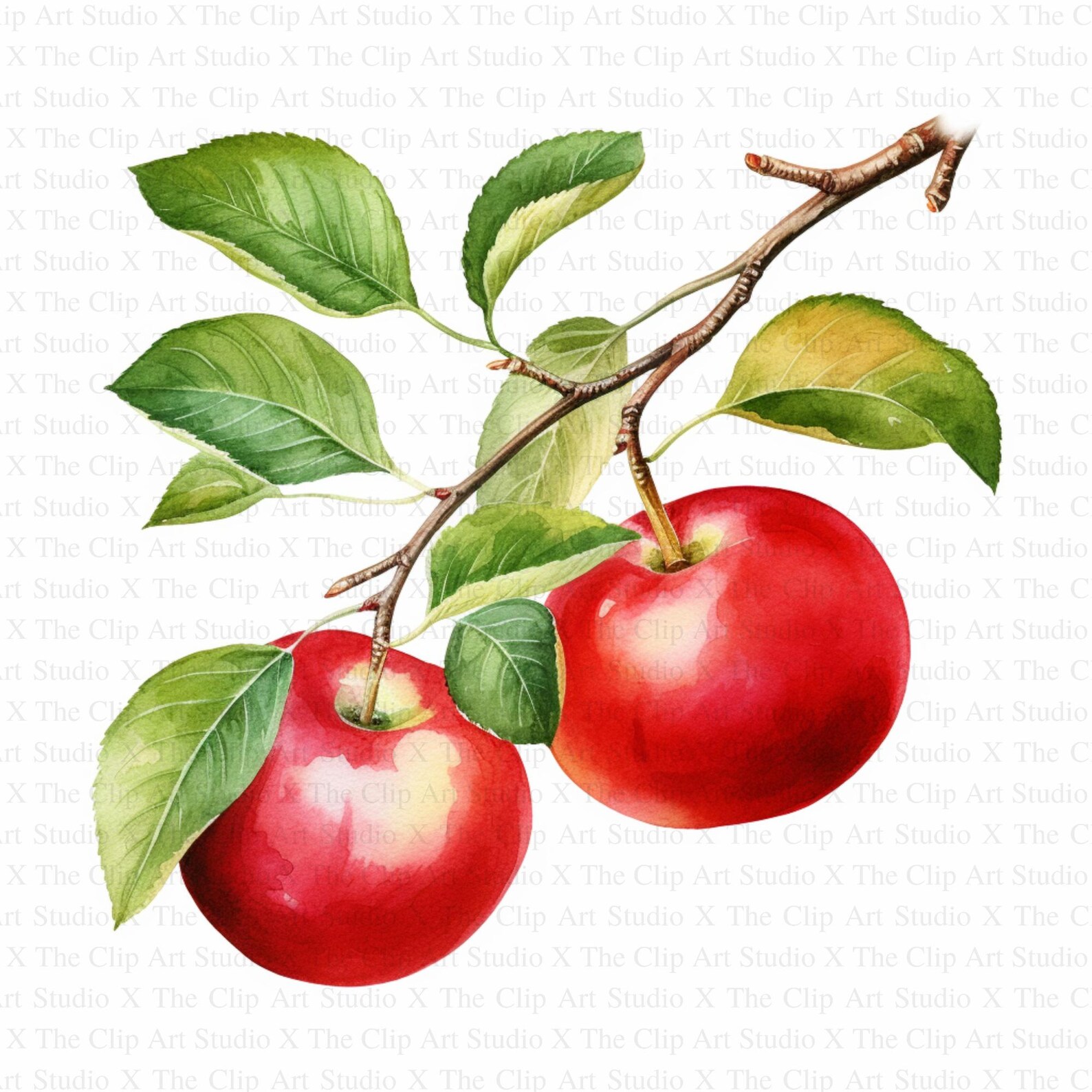 Vintage Apples on Branch Clipart 10 High Quality Jpgs Digital Download Vintage Clipart Card ...