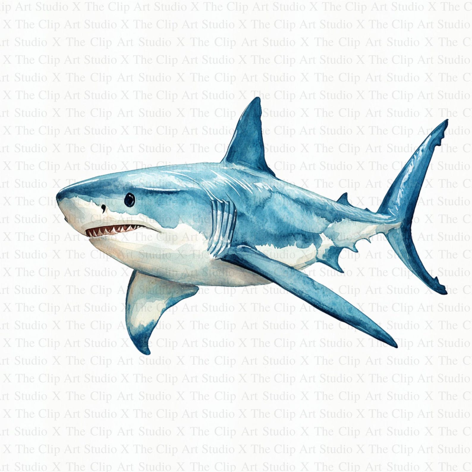 Watercolor Shark Clipart 10 High Quality Jpgs Digital Download Nursery ...