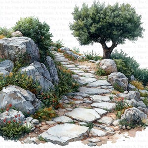 Watercolor Mediterranean Bush Clipart | 10 High Quality Jpgs | Instant ...